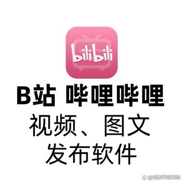 bilibili视频提取器图标
