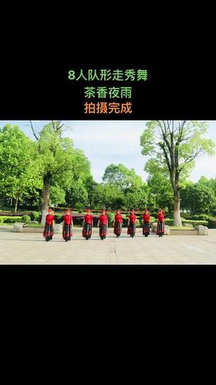 茶香夜雨古典舞视频图标