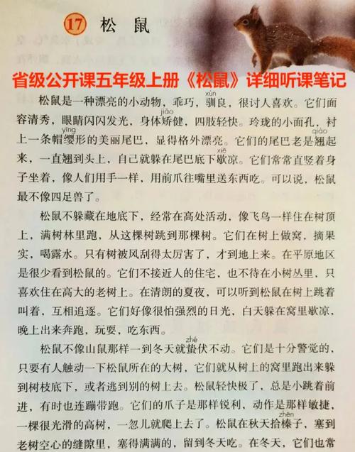 松鼠全文朗读截图
