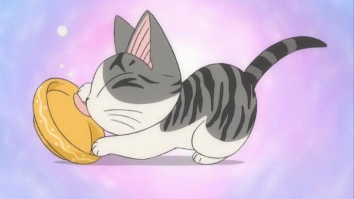 甜甜私房猫图片 可爱截图