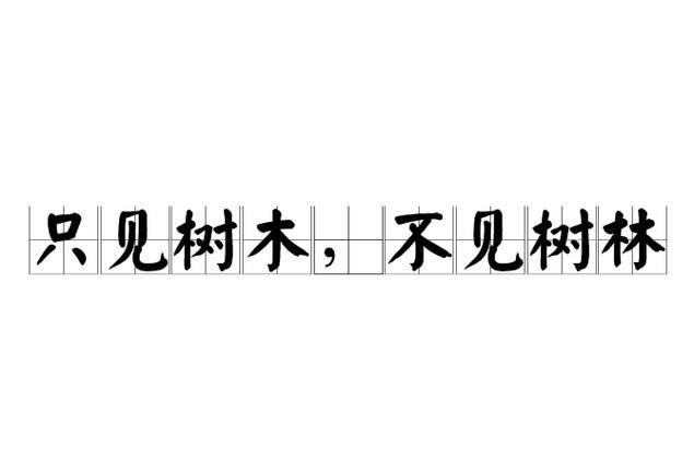 只见树林不见森林是什么观点图标