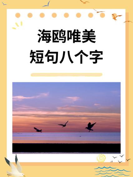 海鸥如何播放手机里的音乐截图