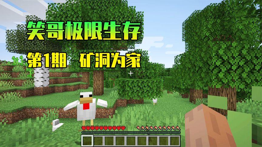 笑哥解说我的世界生存第11天截图