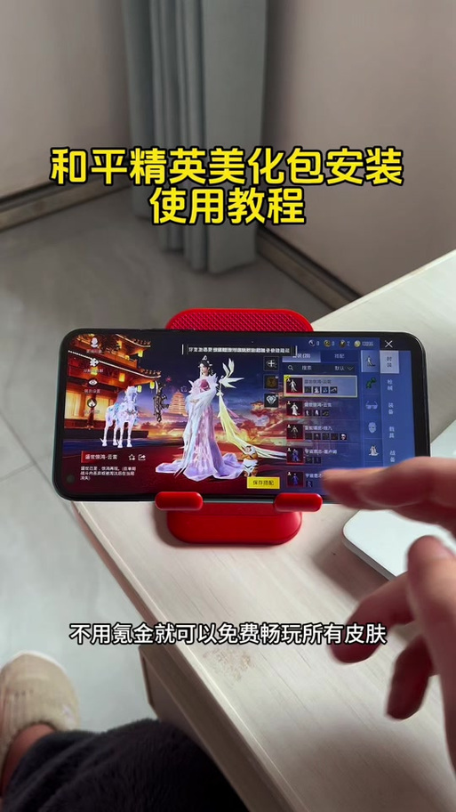 零四VIP美化包图标