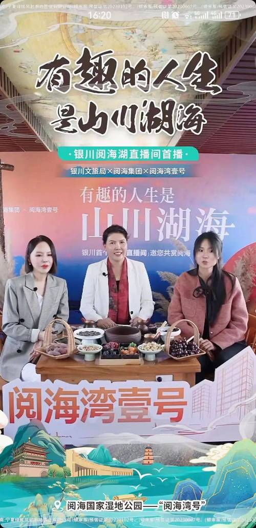 湖上直播间图标
