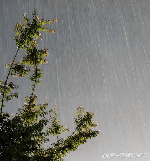 小雨滴图片可爱图标