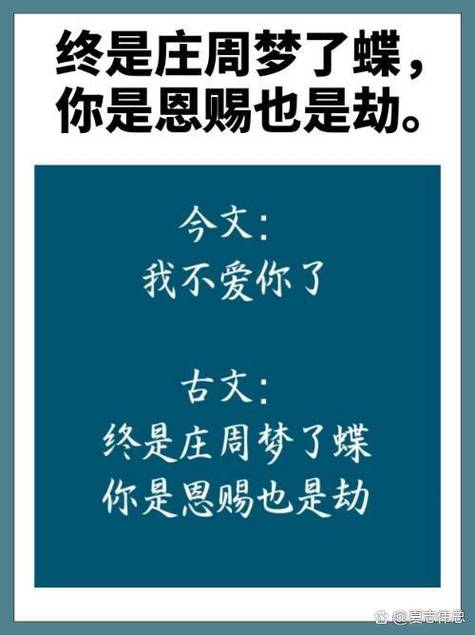 爱你是场劫难全文免费