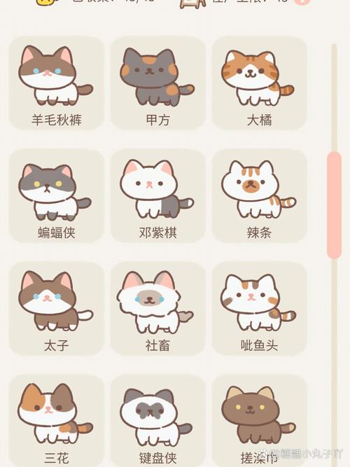 遇见你的猫正版图标