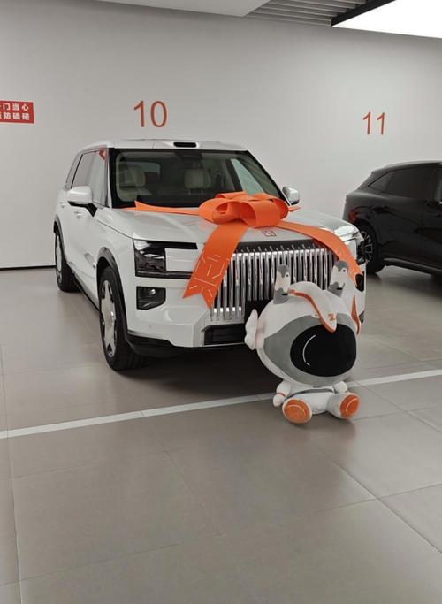 极氪9x2025款最新落地价图标