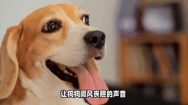 听到声音就会吓一跳图标