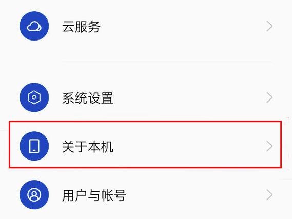 一加ace开发者选项在哪图标