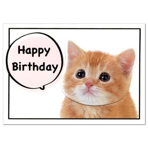 猫生日简短走心的句子图标