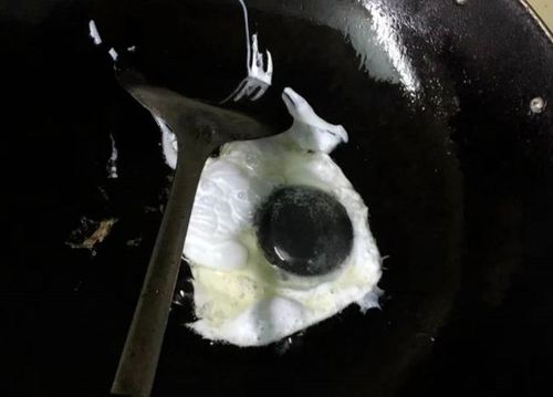 鸡蛋里有一坨黑色的东西