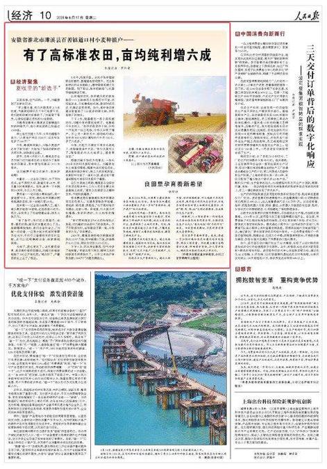人民日报 电子报截图