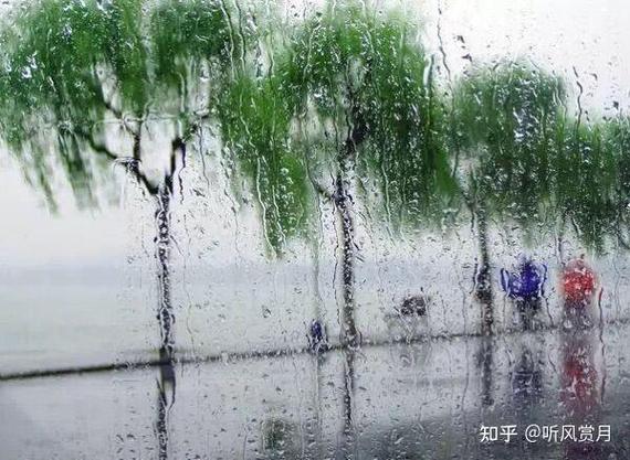 雨中情绵绵 资料