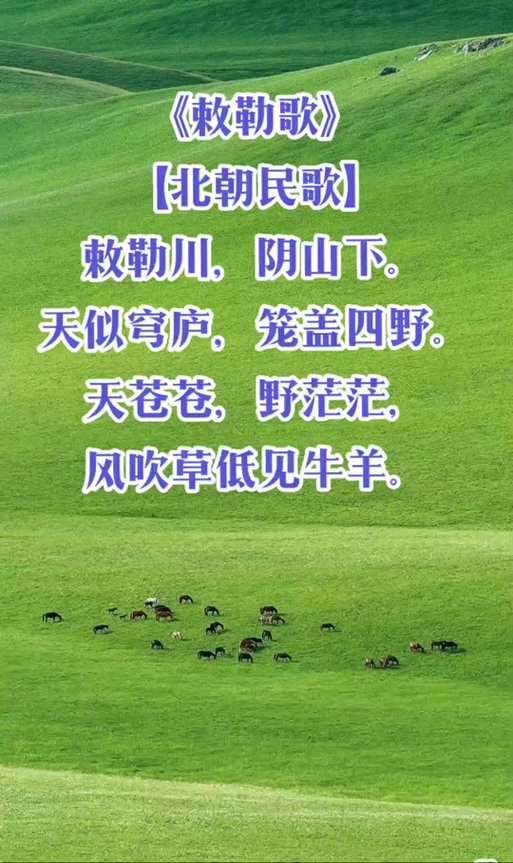 歌词里有牛羊的歌图标