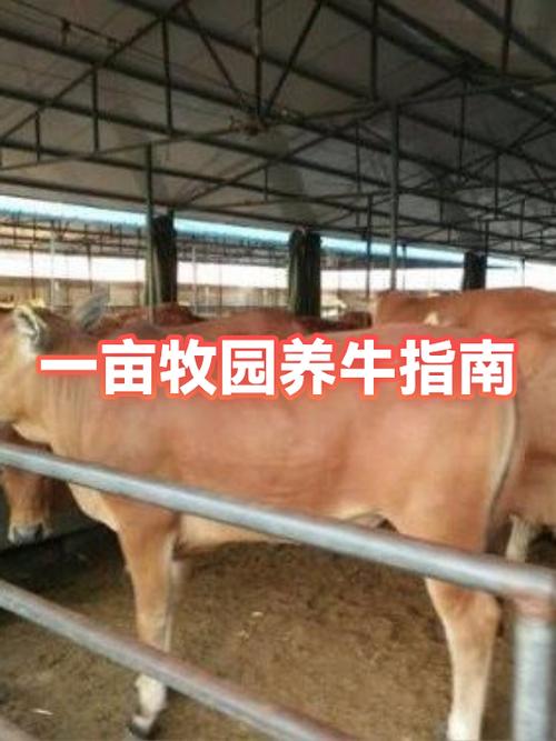一亩牧场能养多少牛图标