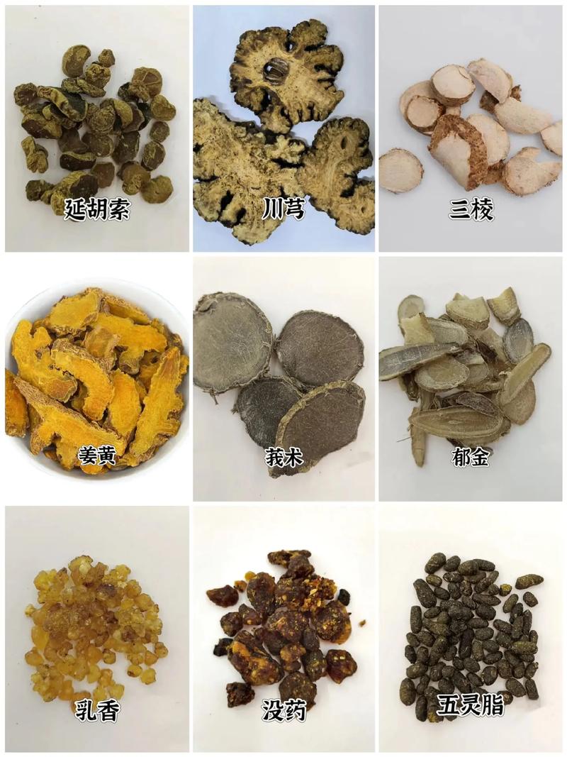 中药学和药学的区别图标