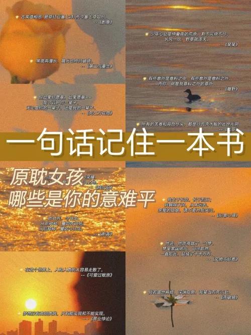 亲爱的姑娘请原谅我图标