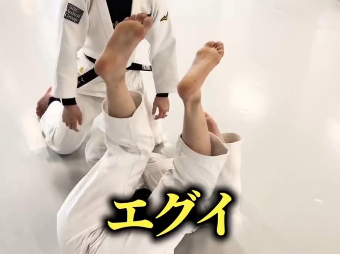 柔道一般人学不了图标