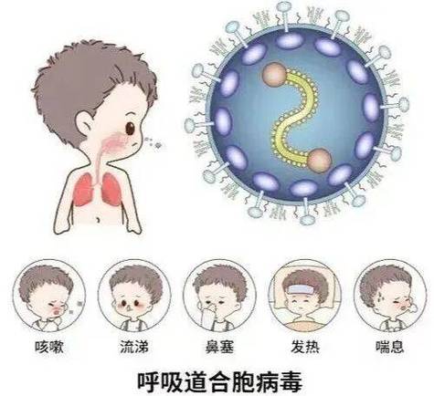计算机病毒说法正确的是图标