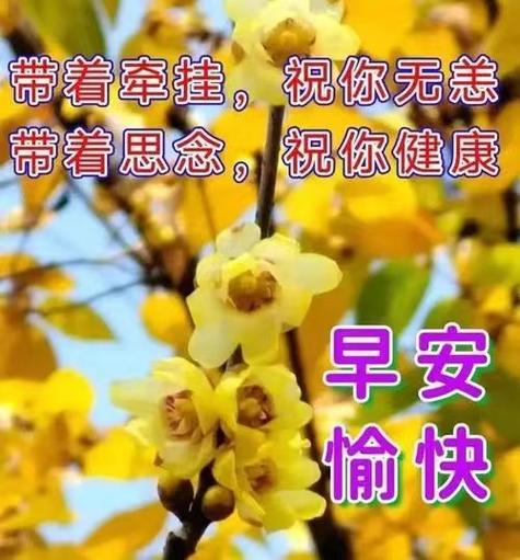 华为手机每天早上自动播报图标