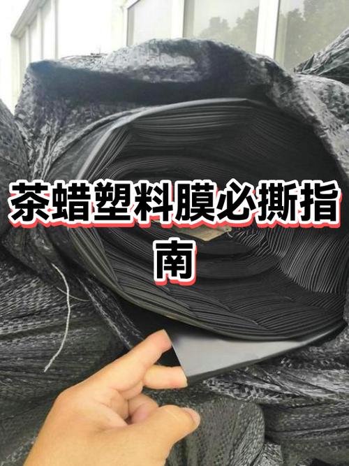 冰柜里面的塑料膜要撕掉吗图标