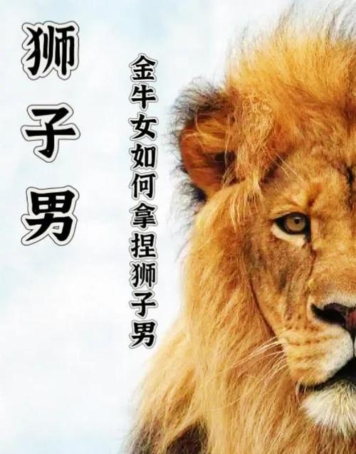 金牛女拿捏狮子男妙招图标