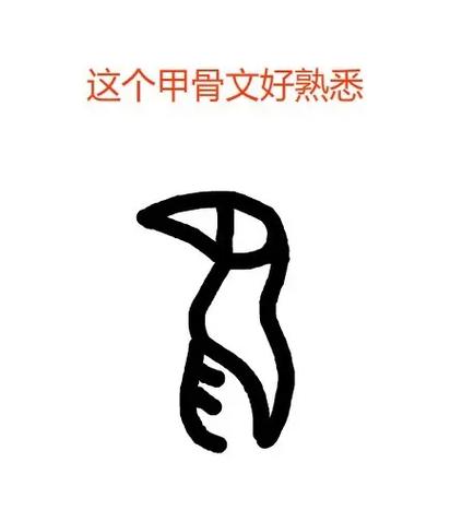 鸟加一个偏旁可以变成什么字图标