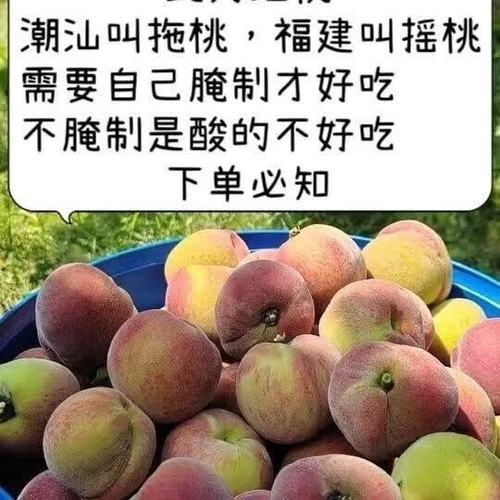 是小甜桃吗图标