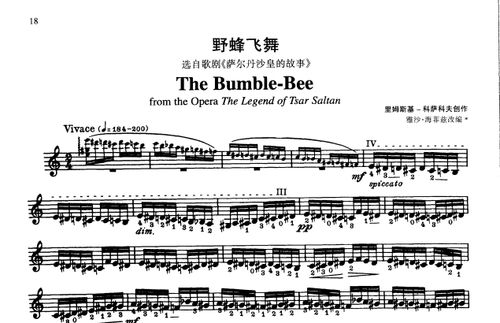 野蜂飞舞小提琴截图