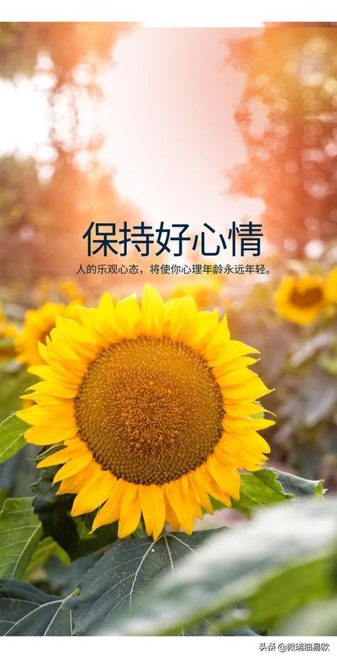 好心情 心理截图