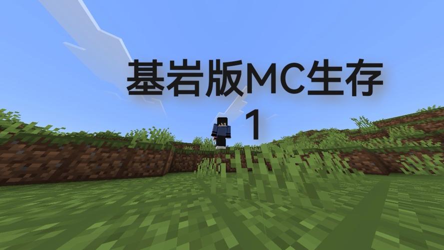 我的世界基岩生存一口气看完截图