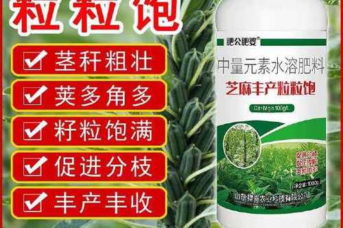 种芝麻用什么肥料最好高产图标