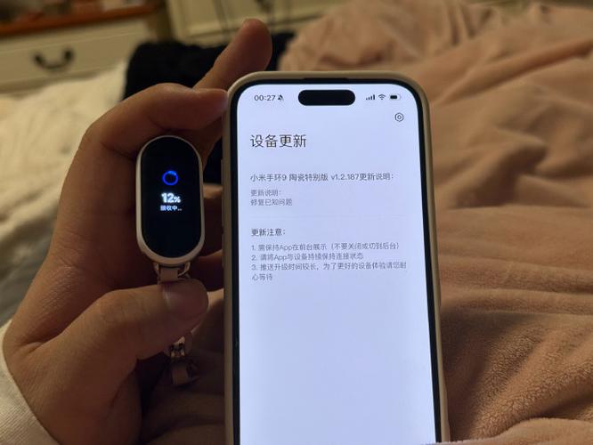 手环没有网络可以使用吗截图