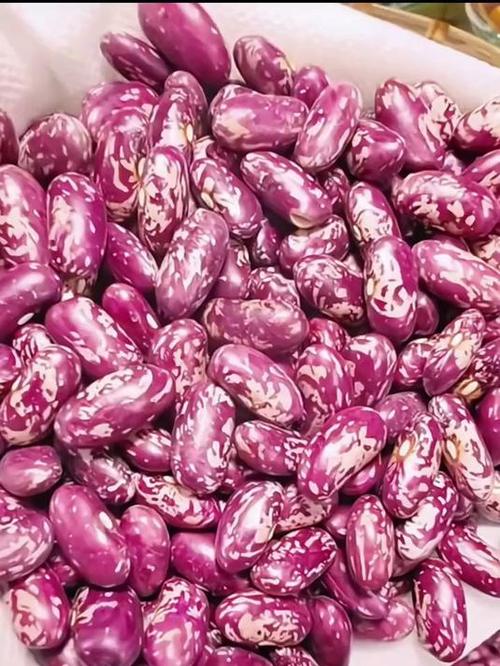芸豆是什么样子的图片图标