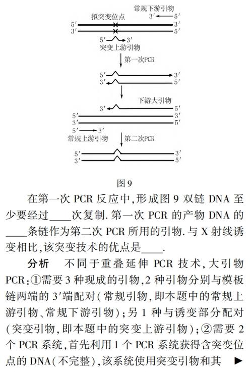 pcr的引物是什么图标
