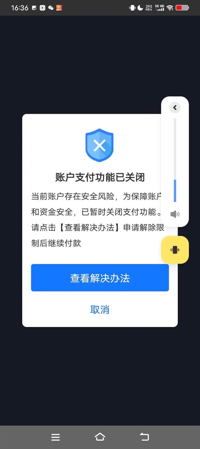 支付宝停止运行是怎么回事图标