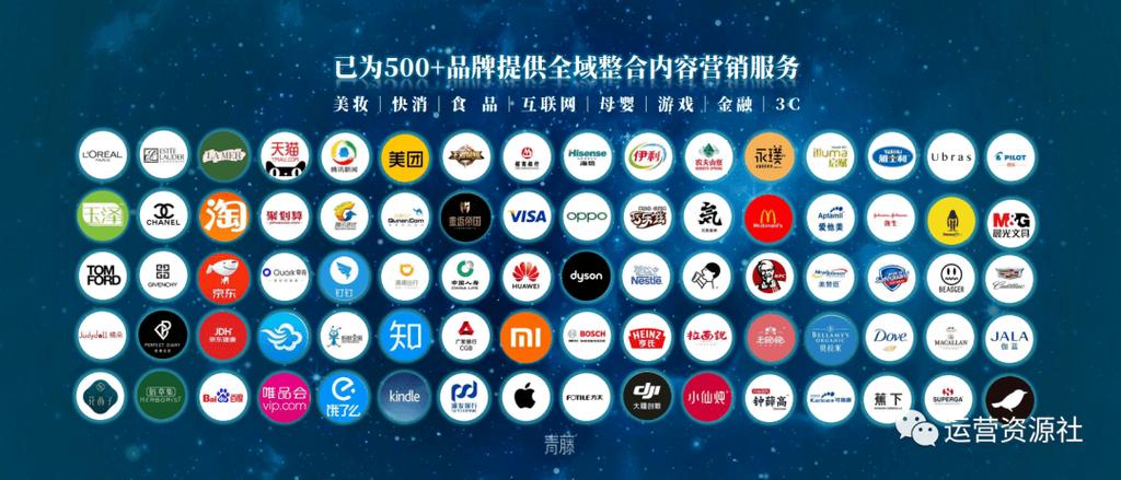 网红公司叫什么mcn截图