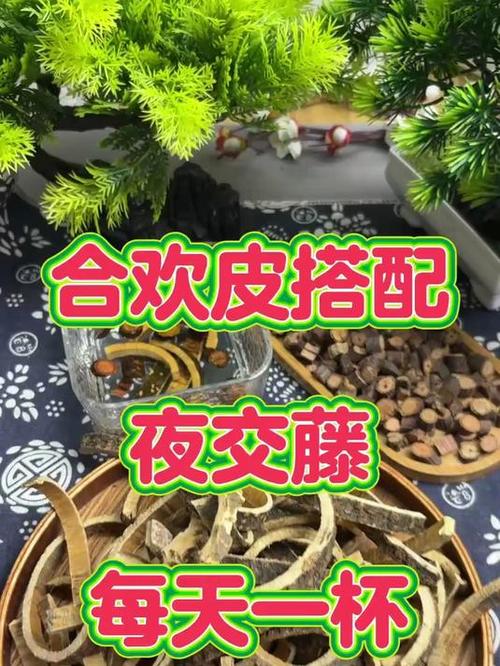 合欢皮的正确泡水方法截图