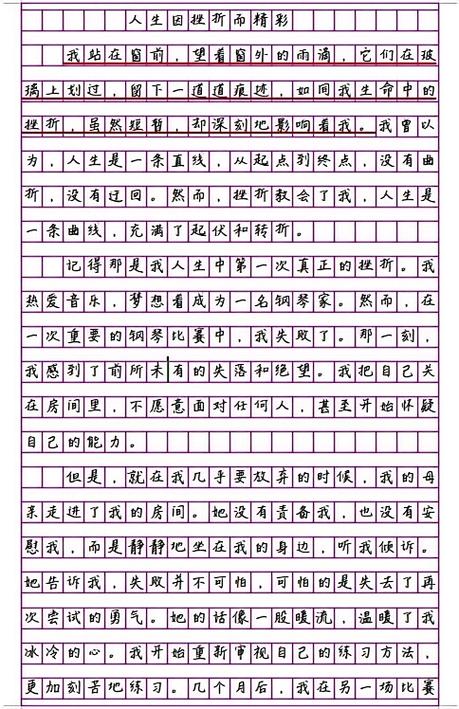 写一段自己的人生经历图标