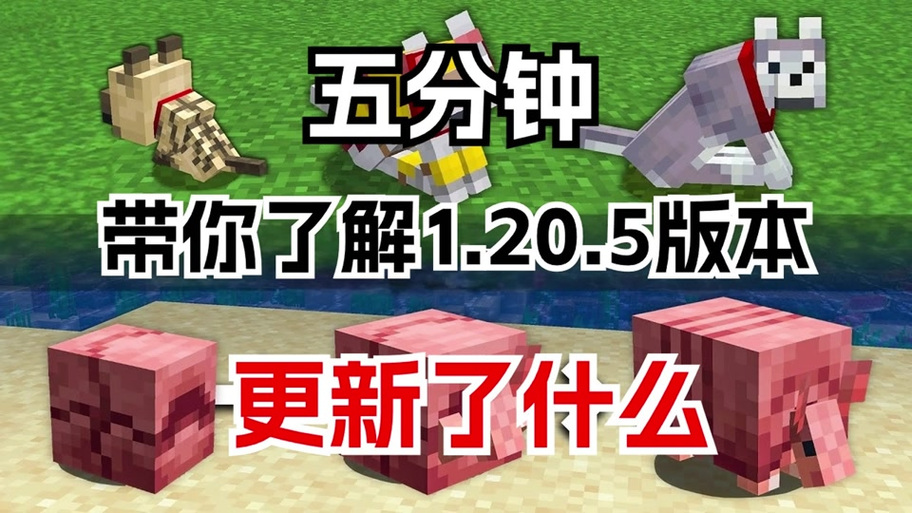 刚毅我的世界截图