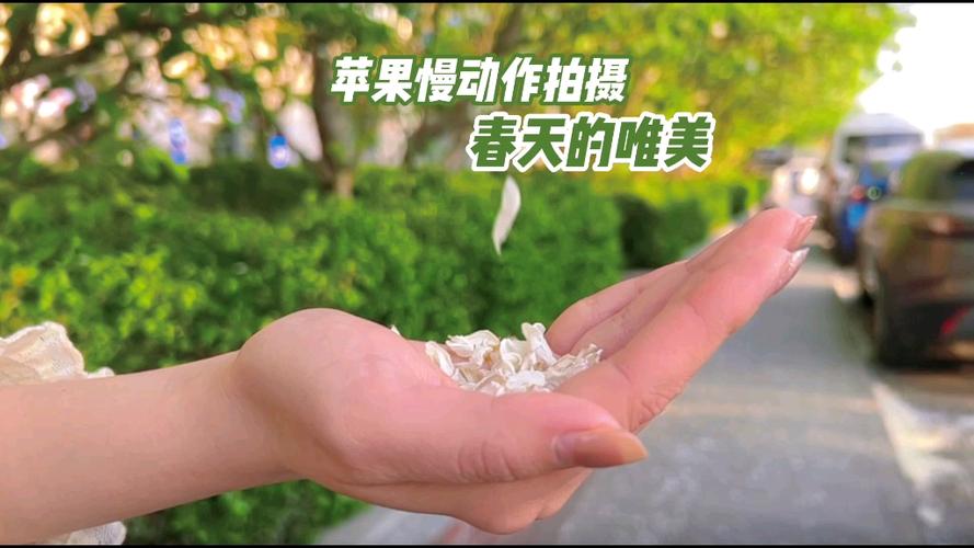 苹果拍视频变成慢动作图标