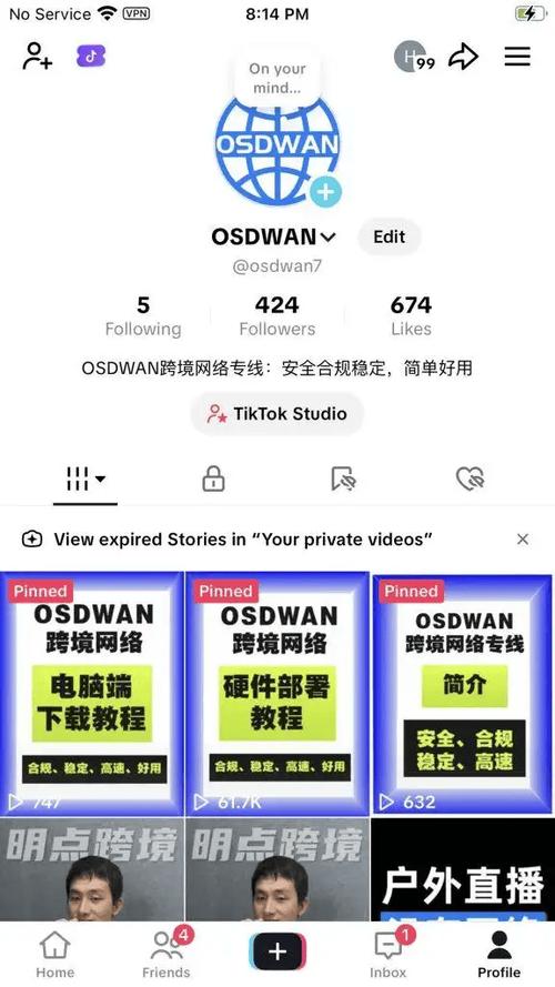 抖音国际服怎么在国内使用图标