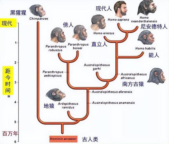 进化论的三个基本理论图标