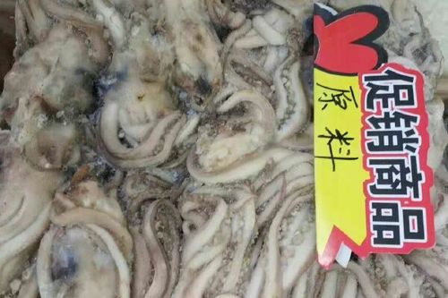 阿根廷鱿鱼最新消息图标