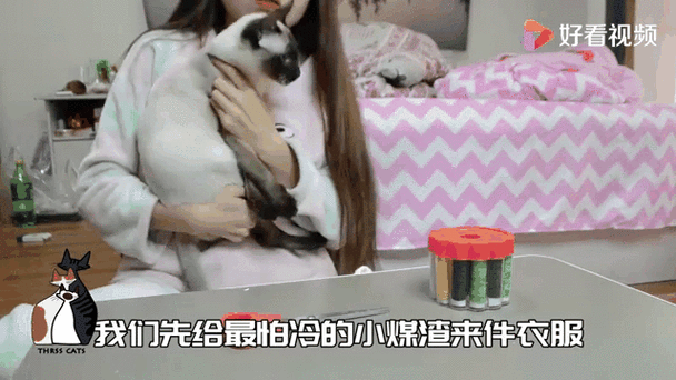 被猫碰过的衣服还能穿吗截图