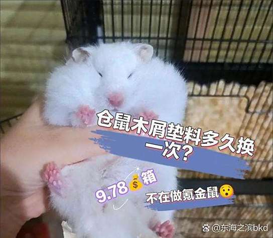 仓鼠多久换一次木屑图标