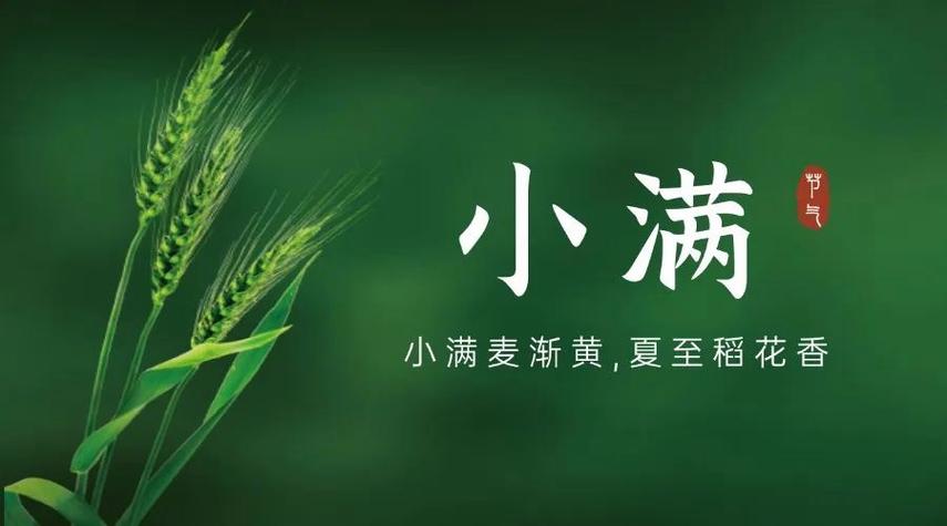 小满登录图标