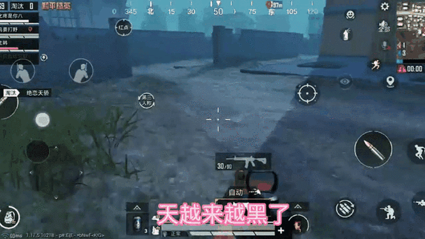 和平精英深夜模式截图
